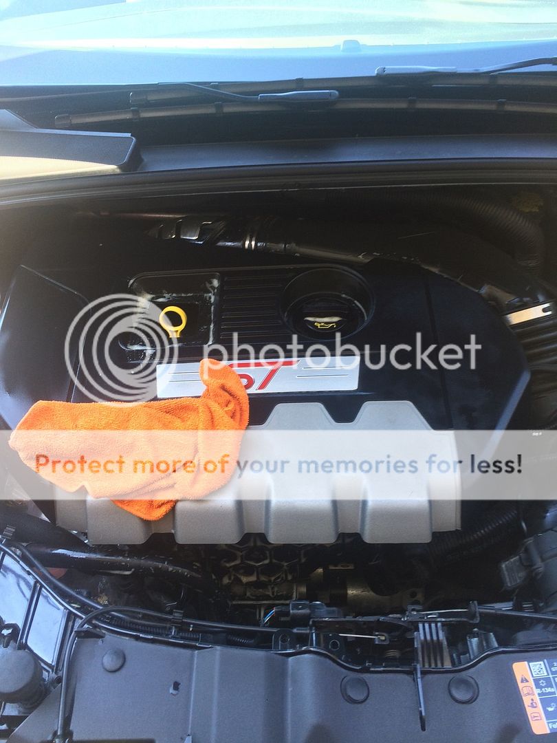 The "HOW TO" clean your engine bay with an APC [PIC HEAVY] | Ford Focus ...