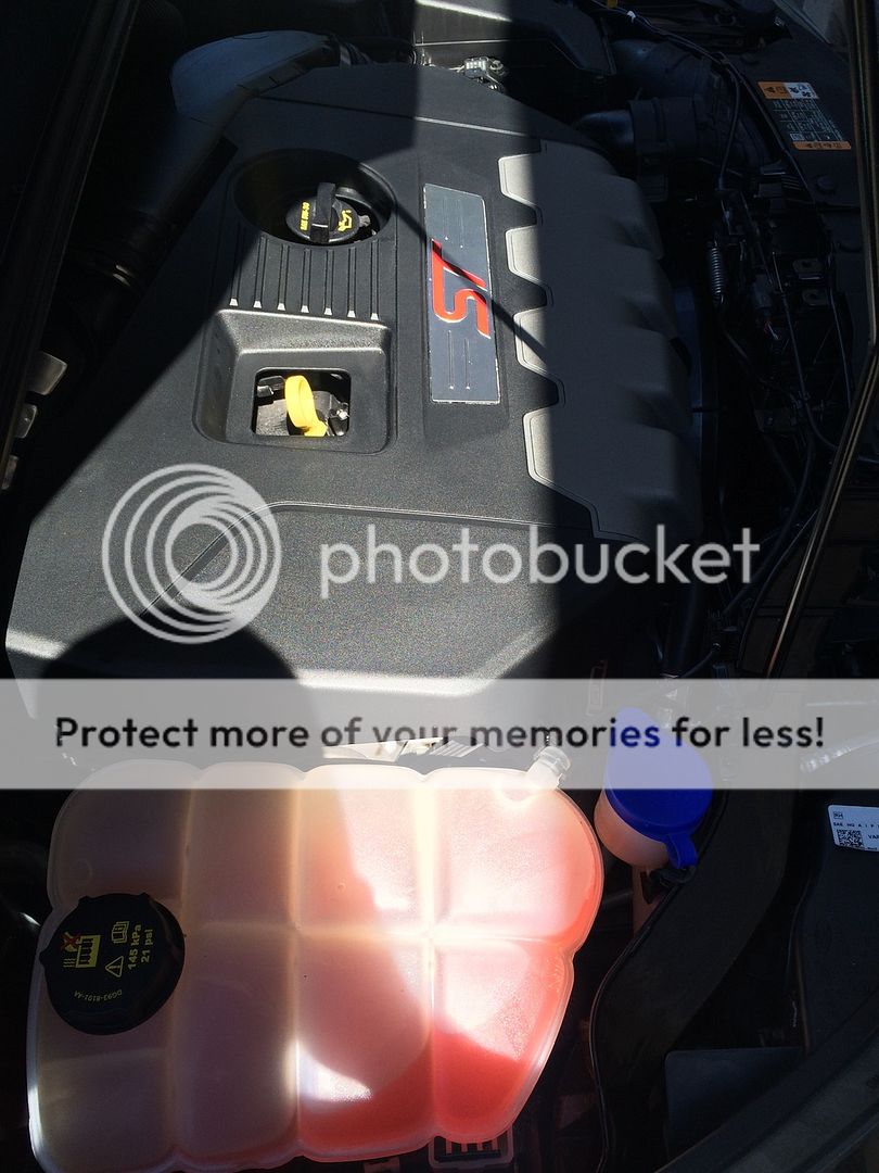 The "HOW TO" clean your engine bay with an APC [PIC HEAVY] | Ford Focus ...